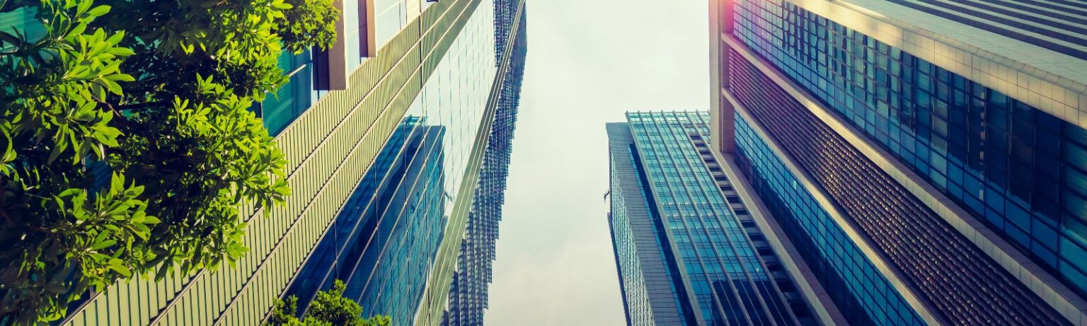 Board of Directors - Blue Star Engineering & Electronics